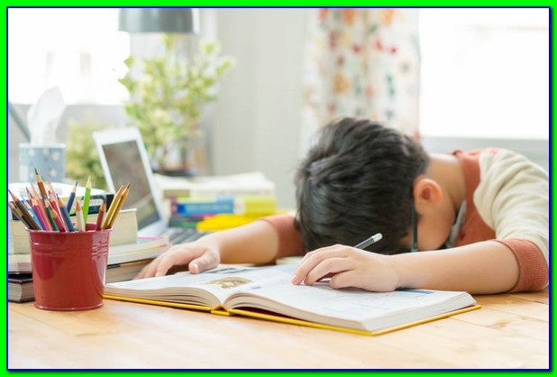 Inilah Cara Mendidik Anak yang Malas Belajar Perlu Diketahui Orang Tua ...